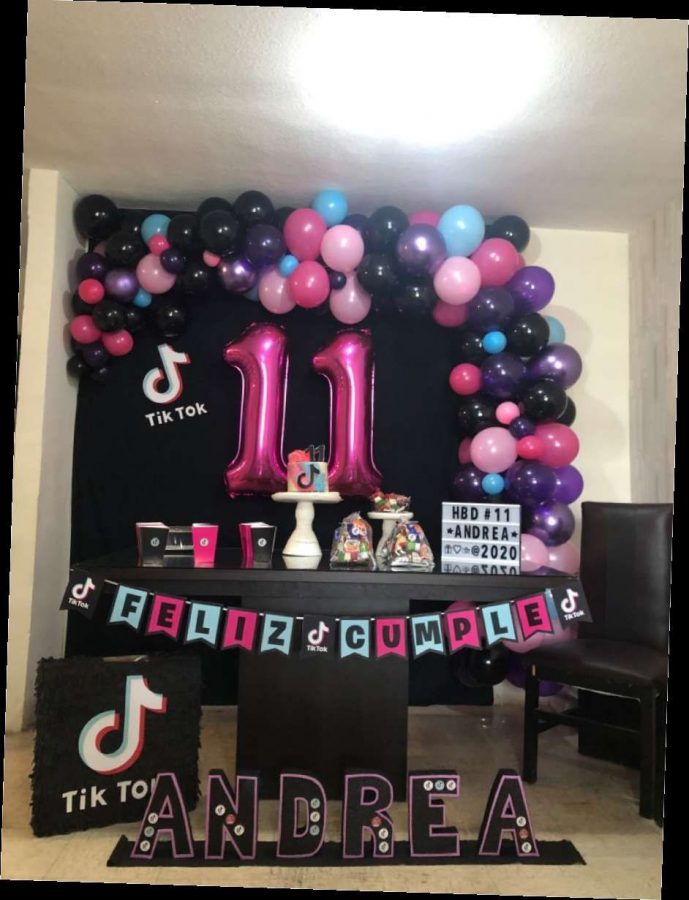 Festa Tik Tok: 90 ideias para a rede social do momento